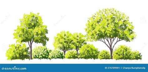 Green Tree Forest With Grass Elevation For Landscape Scene Stock