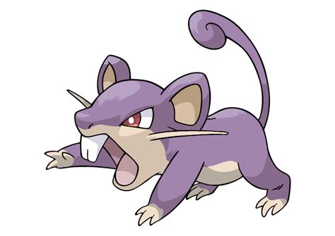 Rattata Pokemon Different Forms