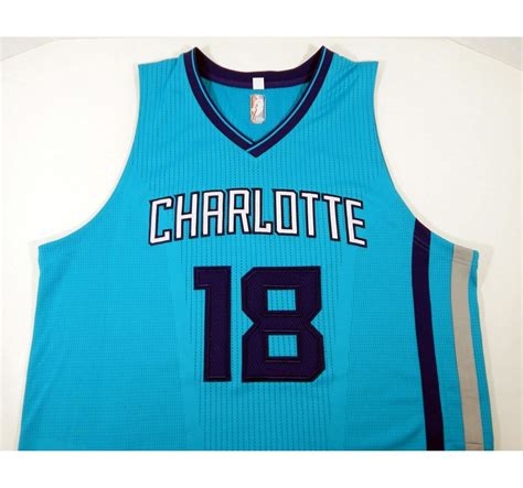 Charlotte Hornets 2014 2017 Alternate Jersey