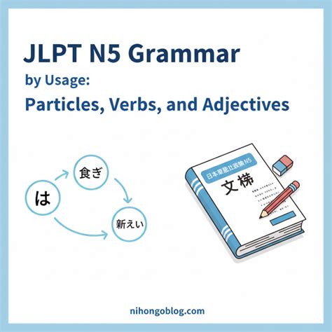Jlpt N5 Vocabulary Master List 800 Essential Words With Examples