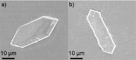 Coagulation Surface Inducedhexagonal Phase Phospholipidprthrptppp