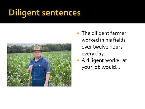 Diligent In A Sentence Examples At Marcus Lewis Blog