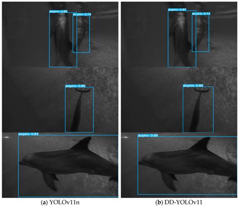An Underwater Object Recognition System Based On Improved Yolov11