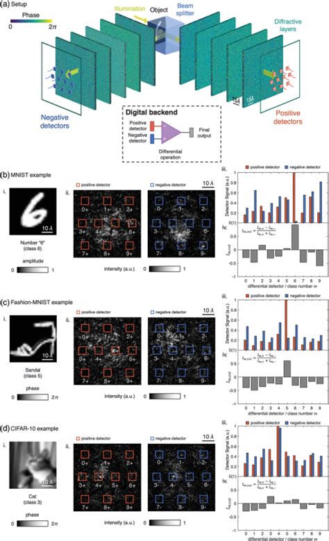 Class Specific Differential Detection In Diffractive Optical Neural Networks Improves Inference