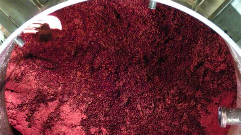 The Science Of Carbonic Maceration In Wine Sevenfifty Daily