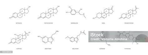 Different Hormons Icons Set Estradiol Progesterone Testosterone