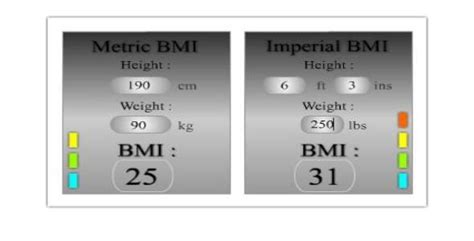 Metalic Metric And Imperial Bmi Calculator Utilities Flash Files
