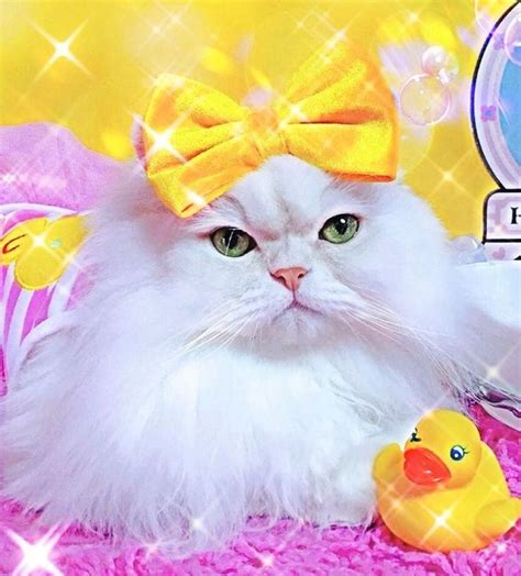 🦄🧜‍♀️ Barbie Beth 🧚‍♀️