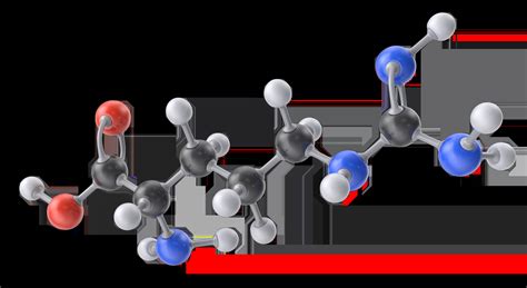 L Arginine Supplier Bulk Distributor Vivion