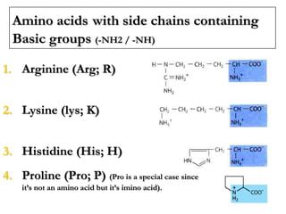 Lecture 2 3 Protein Chemistry Ppt
