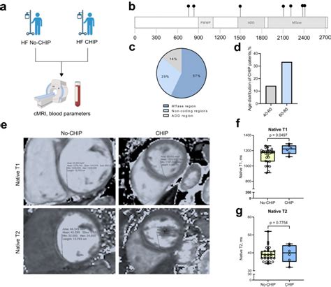 Dnmt3a Clonal Hematopoiesis Driver Mutations Induce Cardiac Fibrosis By Paracrine Activation Of