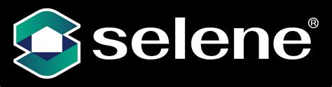 Selene Finance Maximize Loan Performance — Selene Advantage