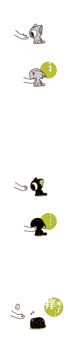 可爱图片素材caty猫的画板 花瓣网