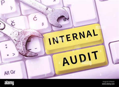 Conceptual Caption Internal Audit Internet Concept Evaluates The Objective Assurance To Improve