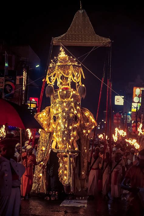 The Sacred Randoli Perahera Of Kandy Travel News Talk