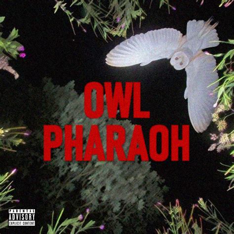 Other This Photo From The Front Page Could Have Made A Cool Owl Pharaoh Album Cover R