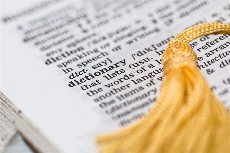 How I Created A Translation And Counter App Using Django Be On The