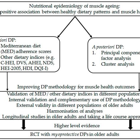 Dietary Pattern Muscle Health Hypothesis Investigation In Nutritional