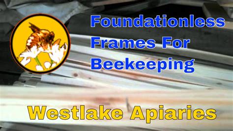 Foundationless Frames For Beekeeping Youtube