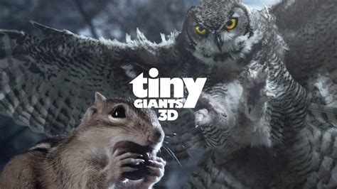 دانلود مستند غول های کوچک سه بعدی Tiny Giants 3d 2014