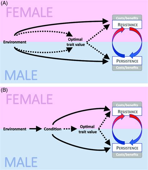 Schematic Representation Of How An Environmental Variable Can Modify