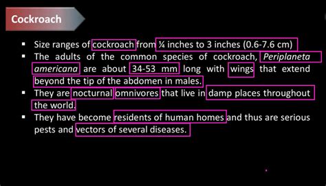 Cockroach Structure Anatomy Muscular And Nervous Tissue