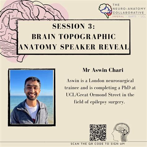 Session 3 Cortical Anatomy Mr Aswin Chari Content Medall