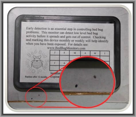 Passive Bed Bug Monitors Bed Bugs Ltd Perfect For Detecting Bed Bugs
