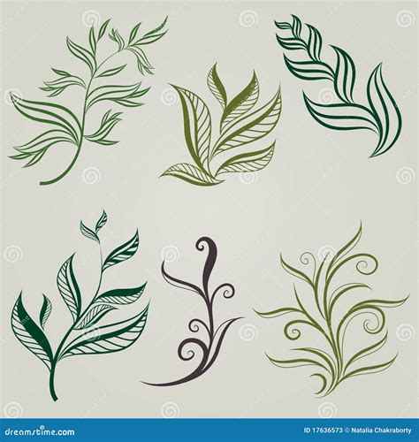 Vector Set Of Leafs Design Element Stock Vector Illustration Of