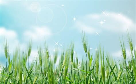 Cute Korean Wallpapers Wallpaper Cave