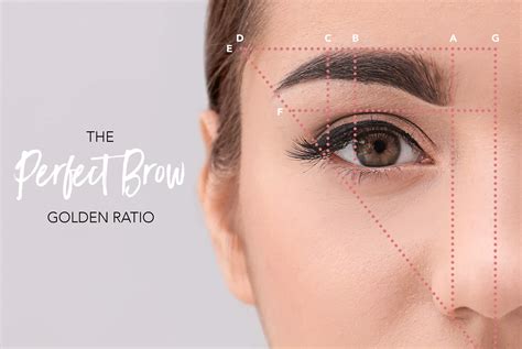 Eyebrow Threading Shapes Chart
