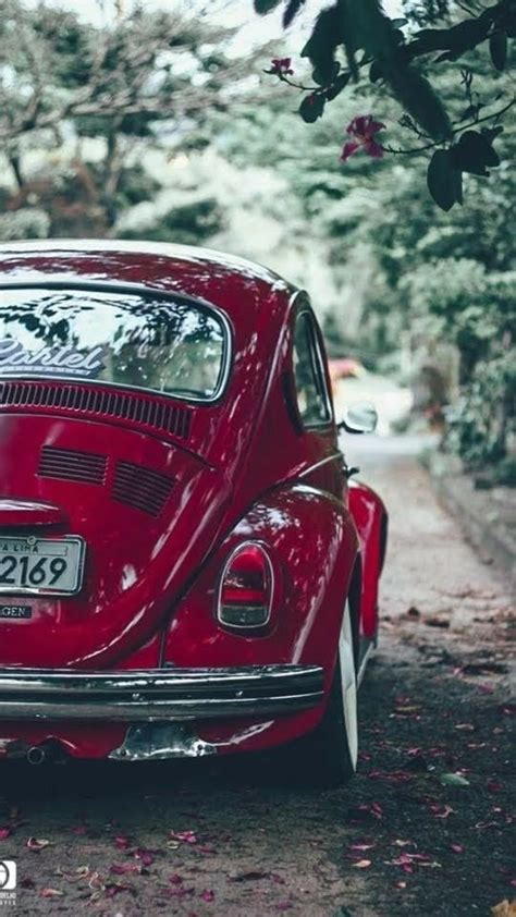 Pin Van علاء العراقي Alaa Iraqi Man Op Cars Klassieke Autos Volkswagen Kevers Vintage Autos