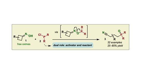 Construction Of Cp Bonds From Free Cyclobutanone Oximes And