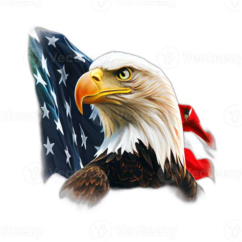 American Patriotic Eagle Illustration Artwork Patriot Eagles