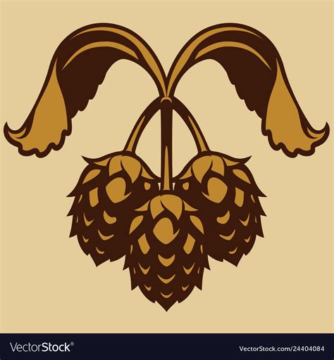 Hops Visual Graphic Icon Or Logo For Beer Vector Image
