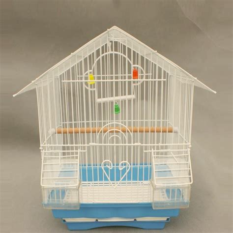 Bird Cage With Chicken Wire At Paula Barnhart Blog