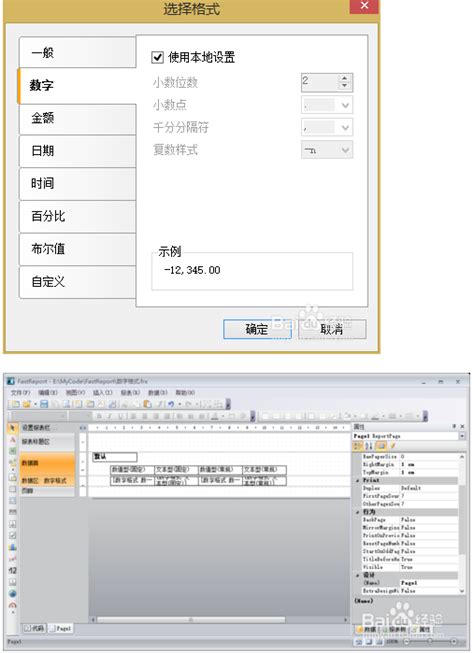 Fastreportnet使用： 26 数字格式 Luwanyoyo 博客园