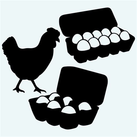 Poultry Eggs Vector Images Over 14000