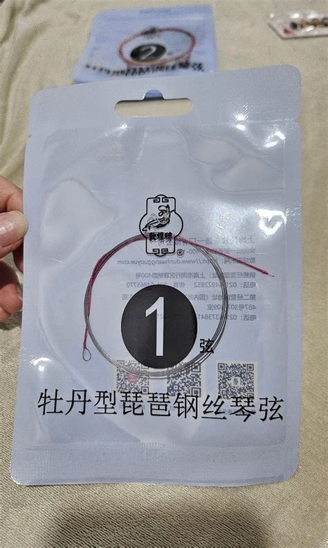 Pipa String Dun Huang Hobbies And Toys Music And Media Music Accessories On Carousell