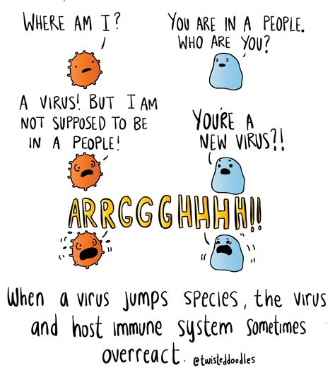 Immune System Jokes Qwik Jokes Good Qwik Joke In Every New Tab