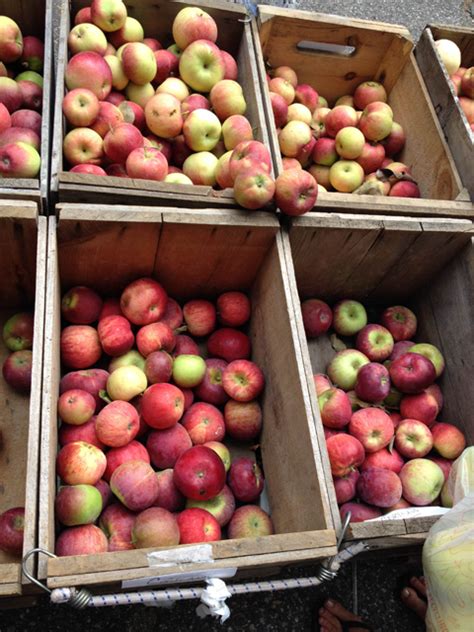 The Blueberry Files How Do You Like Them Apples