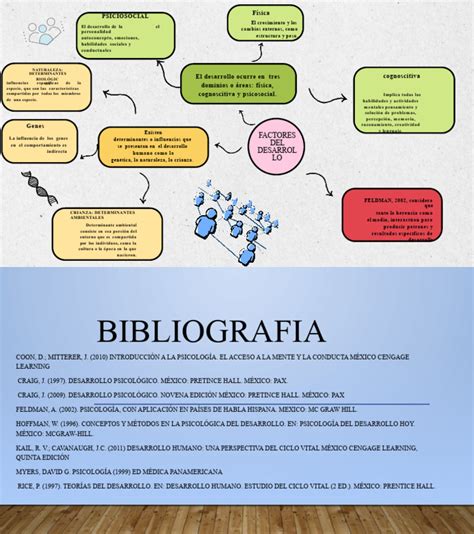 Mapa Mental Desarrollo Pdf Sicología Comportamiento