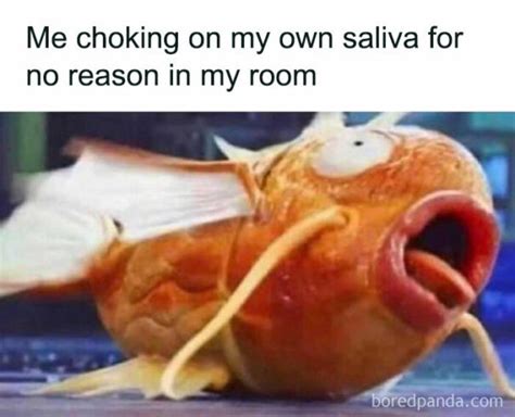 40 Of The Most Hilarious Random Memes Found On The ‘meme Life Page
