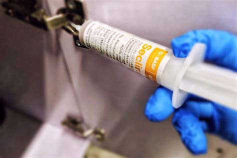 Cockroach Control Nova Pest Solution Sdn Bhd