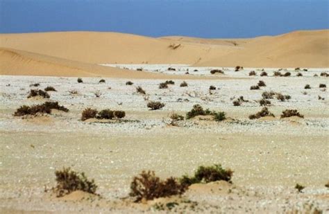 Iraq Desert Landscape Filedesert Landscape In Uae Wikimedia