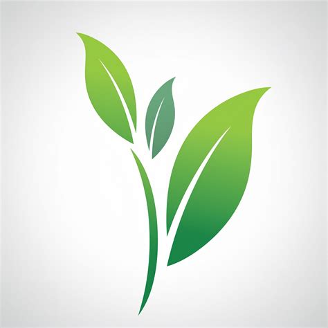 ギャラリー クリーンティ松野