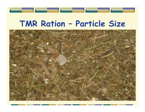 Tmr Feeding Presentation Pdf