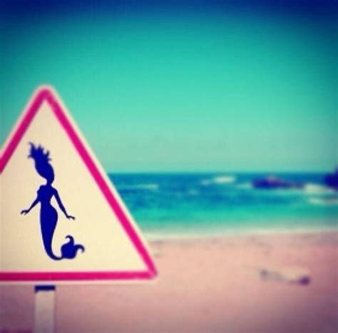 They Should Have This Sign At All Beaches Mermaid Life Mermaid
