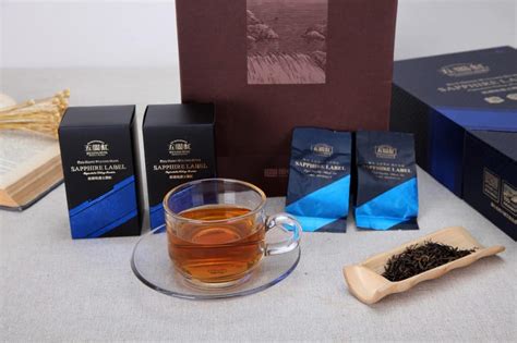 What Is Nova Food Classification Understanding Processed Foods