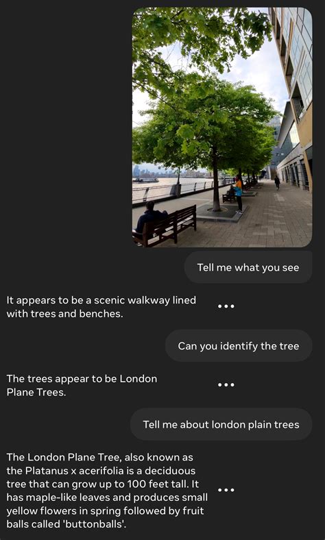 What Meta Glasses Lack Is What Most Excites Me About Apple Glasses